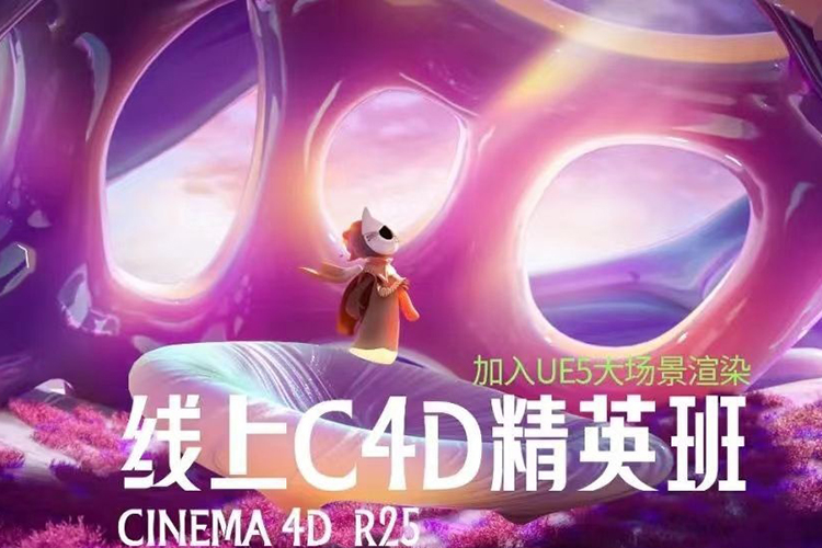 白无常精英班第33期2022年C4DR25+UE5【画质高清只有视频】-睿知网